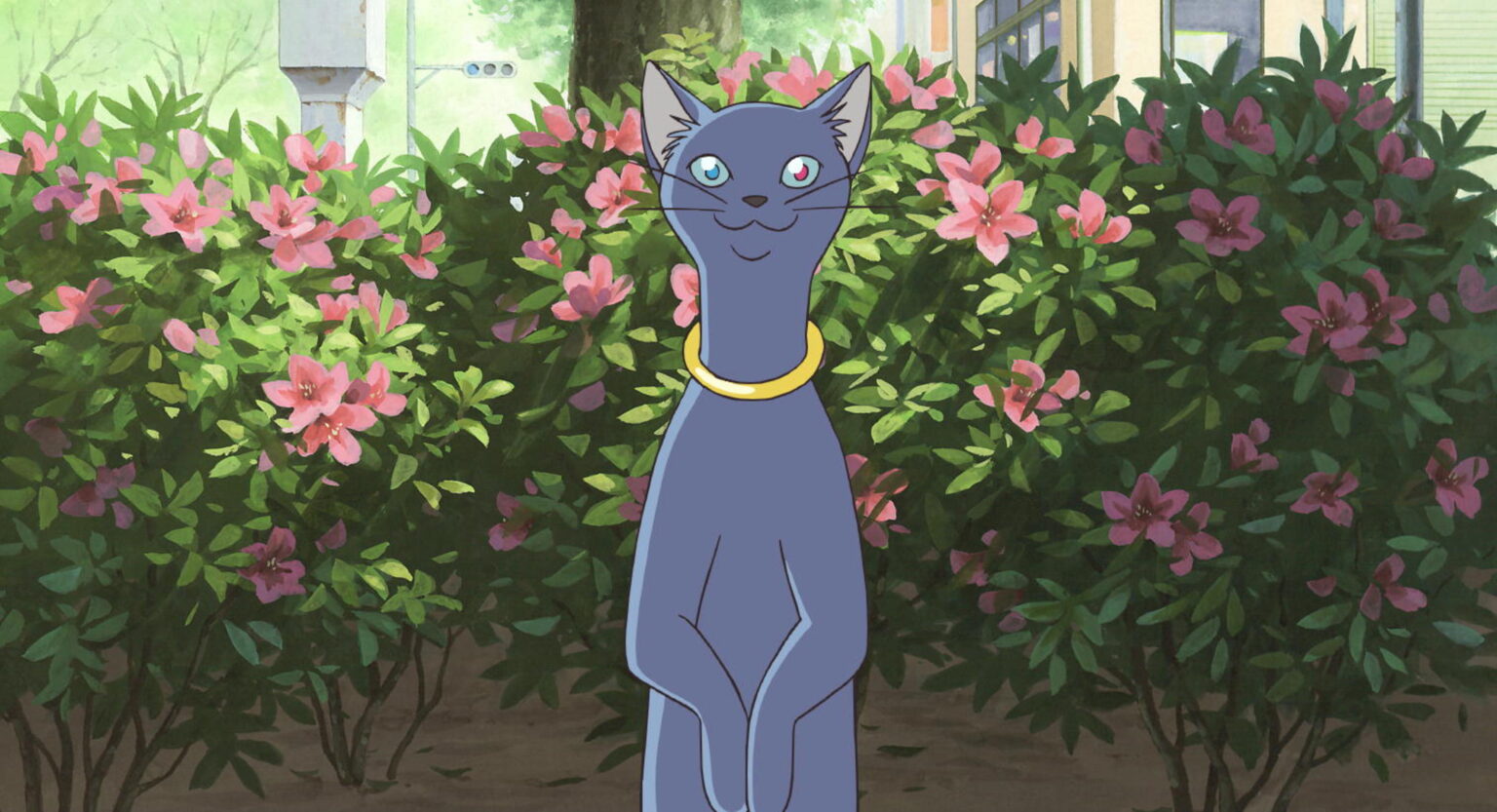 The Cat Returns (2002): Studio Ghibli's Cat Movie - The Cat Movie Archive